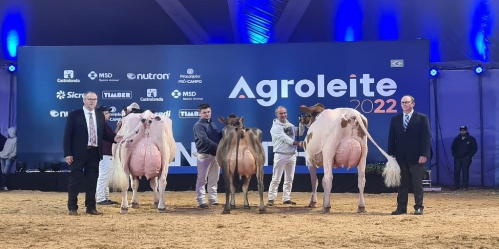 Animais e vibração dos produtores impressionam juízes oficiais do ...